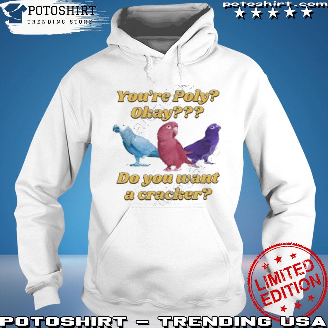 Potoshirt.com - Official bryson oppermann you’re poly okay do you want ...
